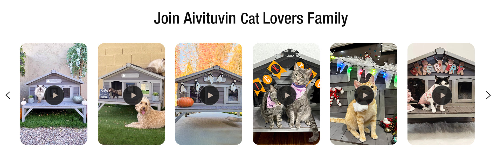 Insulated Wooden Cat House with Waterproof & Elevated Design – Aivituvin