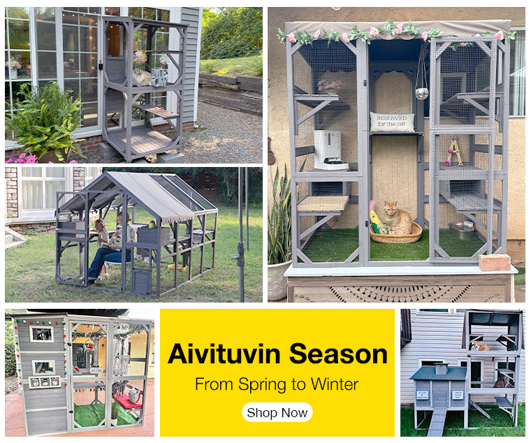 Aivituvin Outside Cat Enclosures Walk In Cat Enclosure