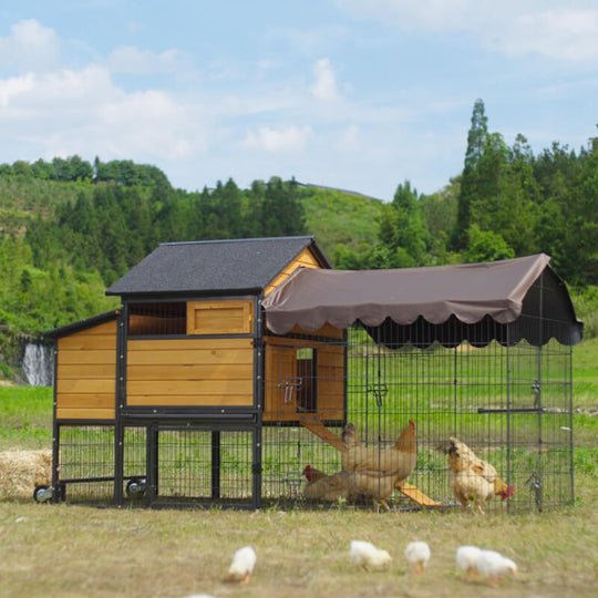 Chicken Runs & Fencing | Secure Outdoor Space for Chickens – Aivituvin
